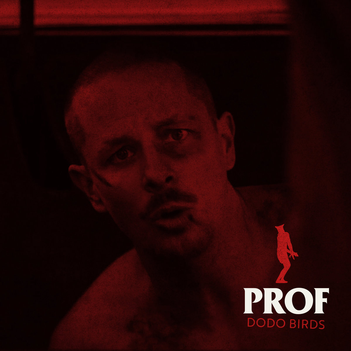 Dodo Birds by Prof (Single, Pop Rap): Reviews, Ratings, Credits, Song ...