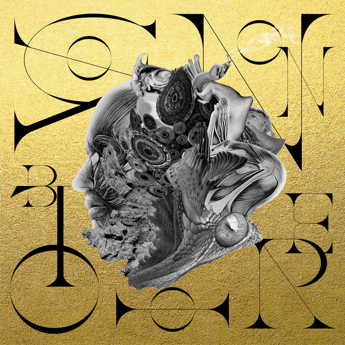 Container by OOBE (Album, Techno): Reviews, Ratings, Credits, Song list ...