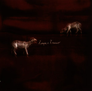 L'arpa e l'asino by N.O.R.M.A. + Chris Cutler (Album, Avant-Prog ...