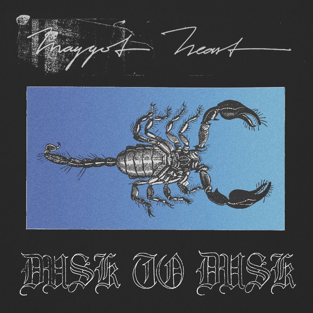 Maggot Heart Albums: songs, discography, biography, and listening guide ...