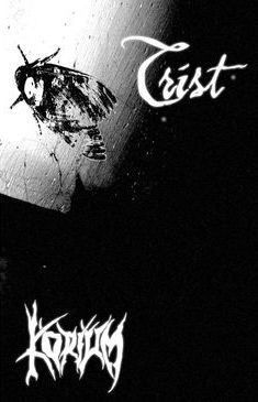 Best DSBM EPs of 2007 - Rate Your Music