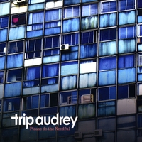 Please Do the Needful by Trip Audrey (Album): Reviews, Ratings, Credits ...