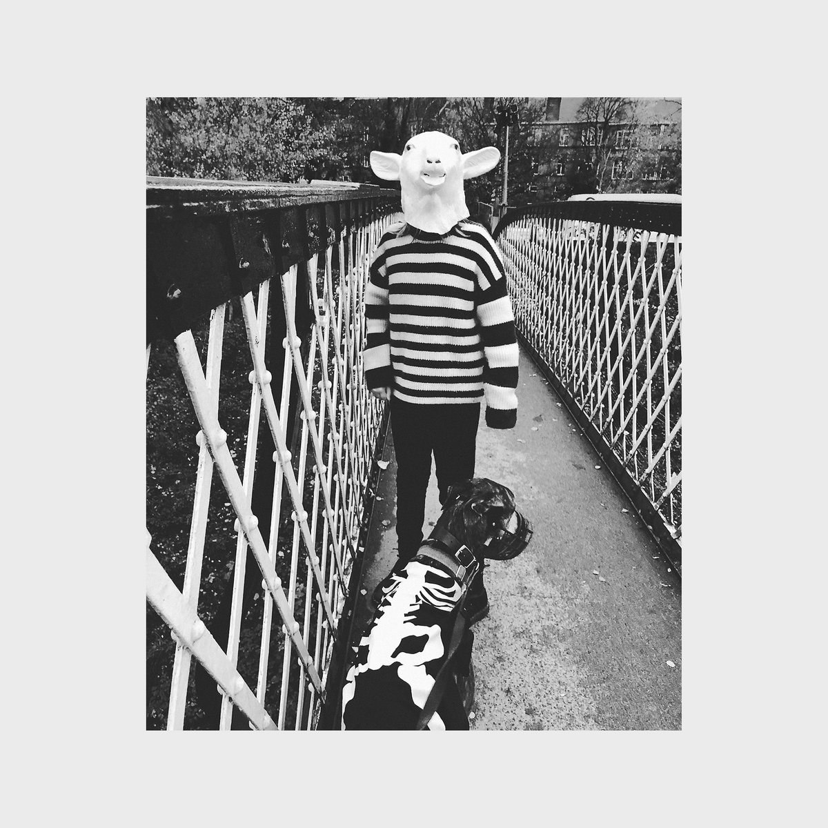 We Were Made Prey. by Kathryn Joseph (Album): Reviews, Ratings, Credits ...