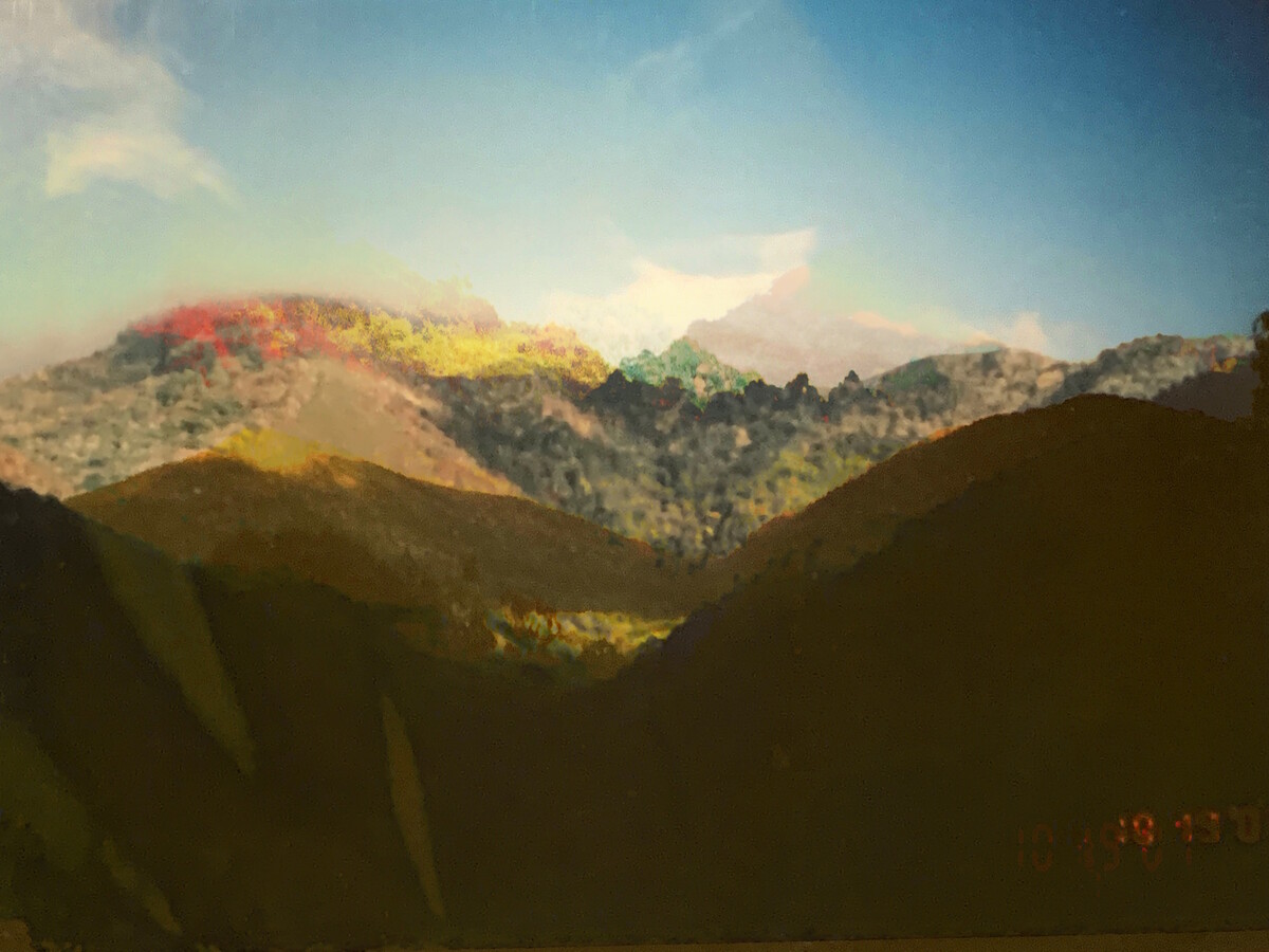 Praise Be the Mountaintop, a Goner's Fawning by Another Devastating ...