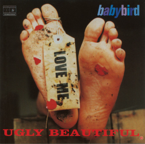 Babybird Albums: songs, discography, biography, and listening guide ...
