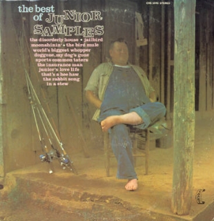 The Best of Junior Samples by Junior Samples (Compilation; Chart; CHS ...