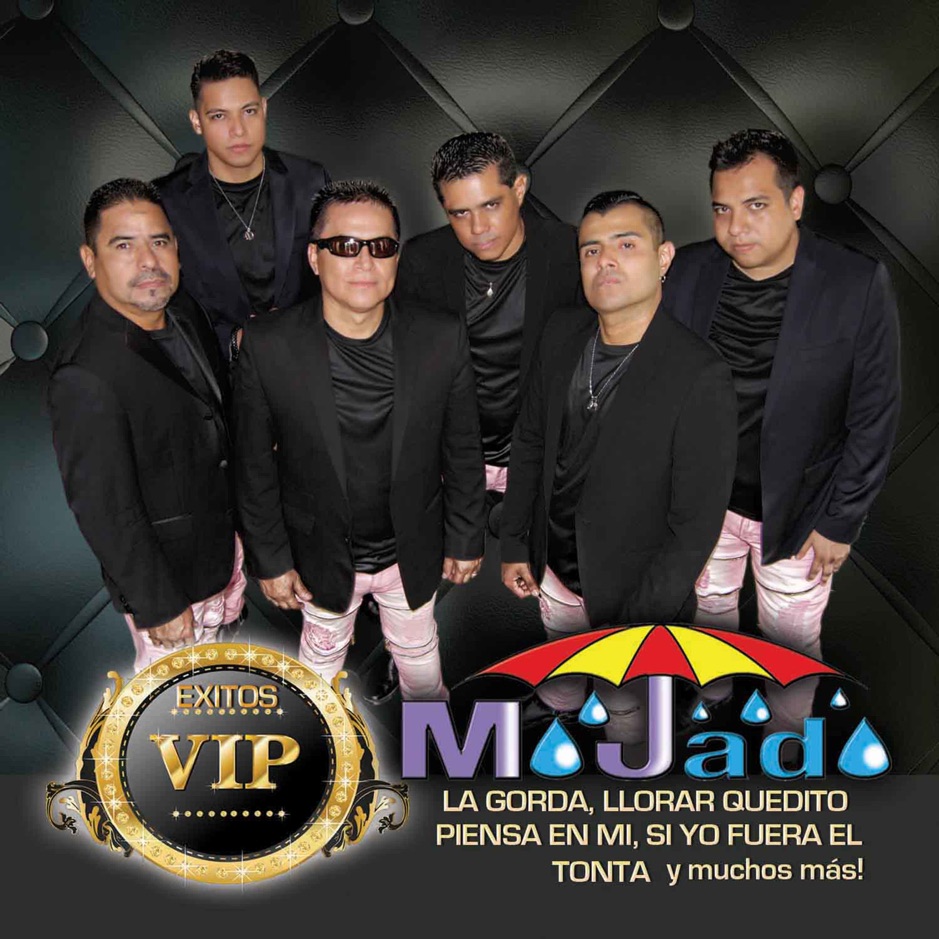 Éxitos VIP by Grupo Mojado (Compilation, Cumbia sonidera): Reviews ...