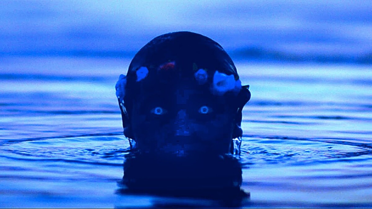 Grzybowyjazd by Parzel (Music video): Reviews, Ratings, Credits, Song ...