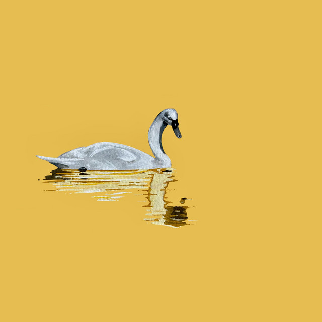 Rocking Chair Song by death's dynamic shroud (Single, Piano Rock ...