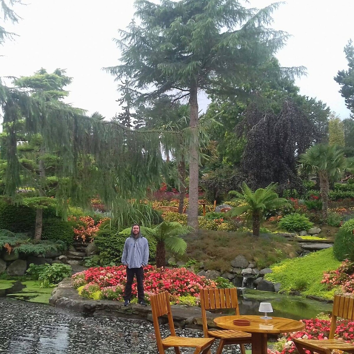 Harry Wilkinson Albums: songs, discography, biography, and listening ...