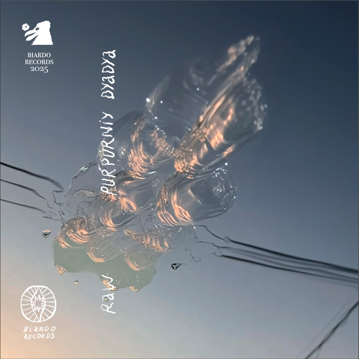 RAW by Purpurniy Dyadya (Album): Reviews, Ratings, Credits, Song list ...