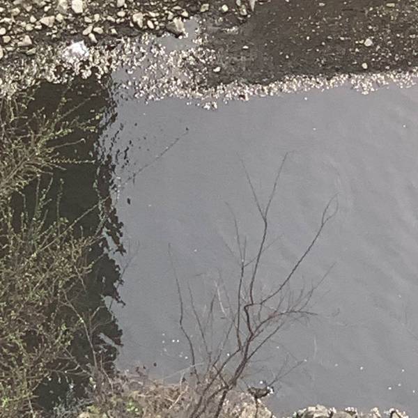 혼자가는길 by dltks (Mixtape, Instrumental Hip Hop): Reviews, Ratings ...