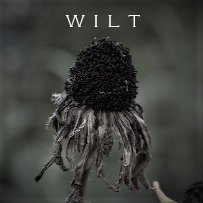 Wilt by Yorick Walzer (Album, Progressive Metal): Reviews, Ratings ...