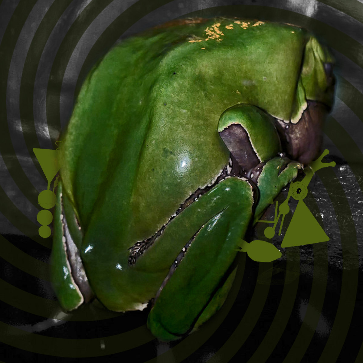 Beat to Death by a Frog by Phyllomedusa (Single, Sludge Metal): Reviews ...