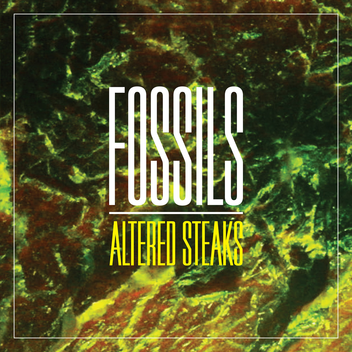 Altered Steaks by Fossils (EP, Noise Rock): Reviews, Ratings, Credits ...