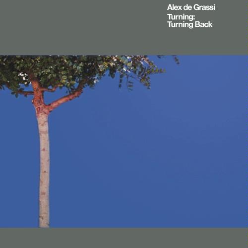 Alex De Grassi Albums Songs Discography Biography And Listening Guide Rate Your Music