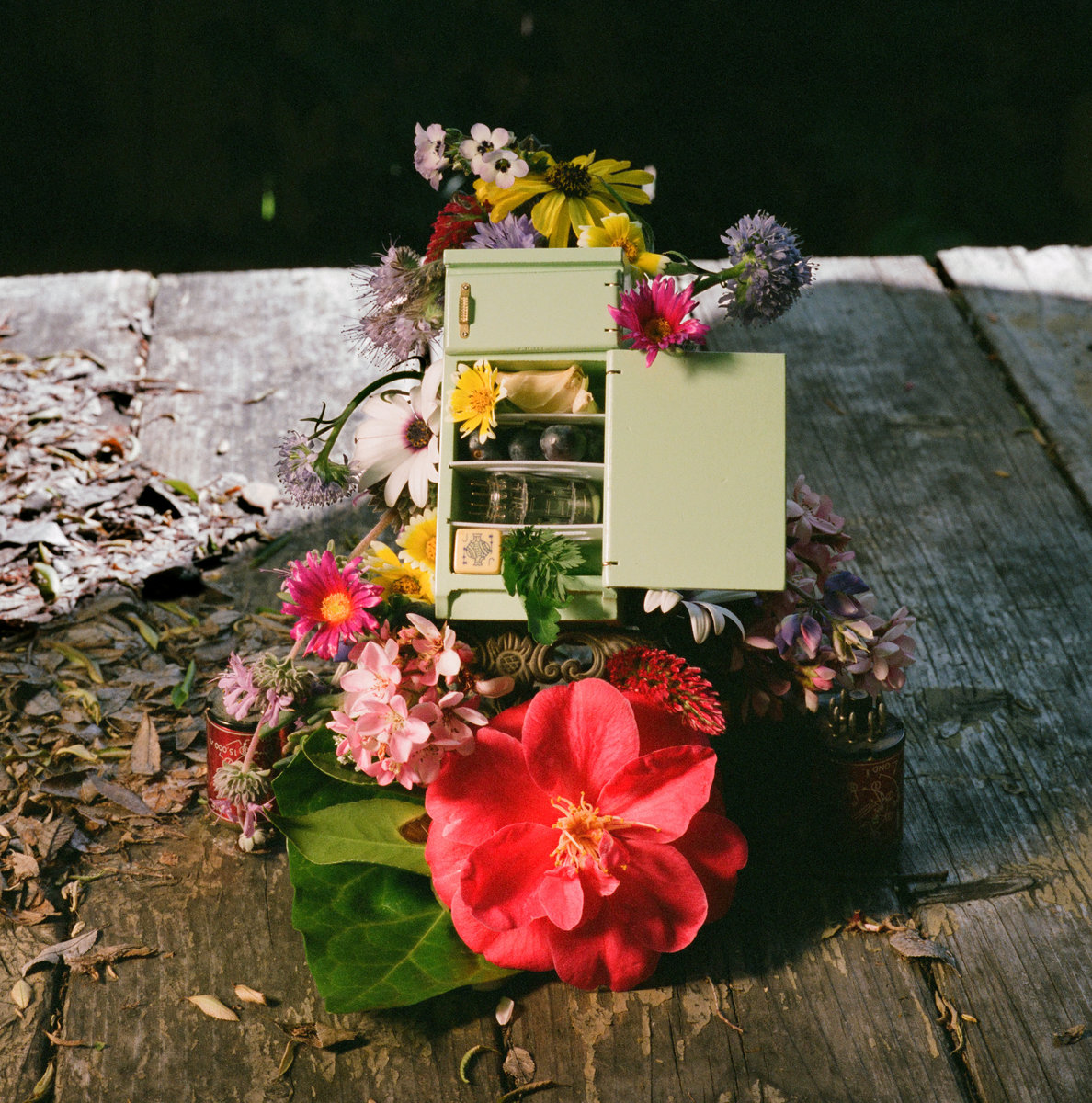 The Fridge 2 by Ryan Pollie (Album): Reviews, Ratings, Credits, Song ...