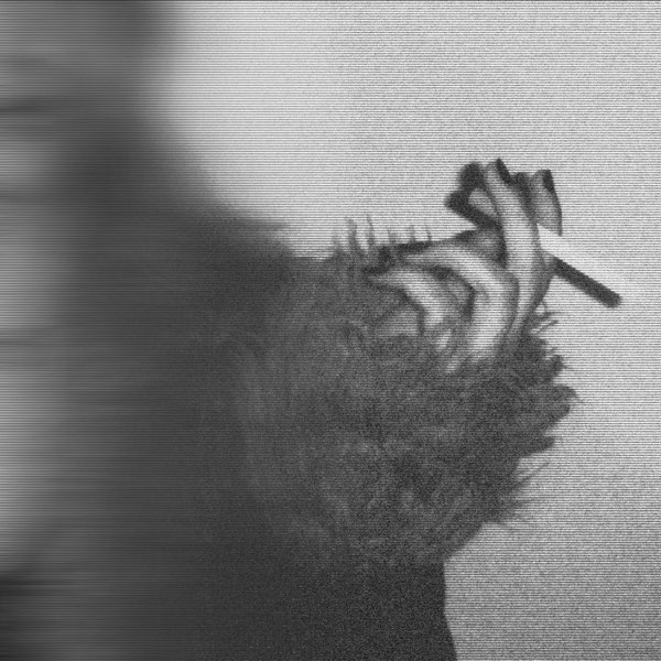 50 Nic by Tracy Waters (Single, Indie Rock): Reviews, Ratings, Credits ...