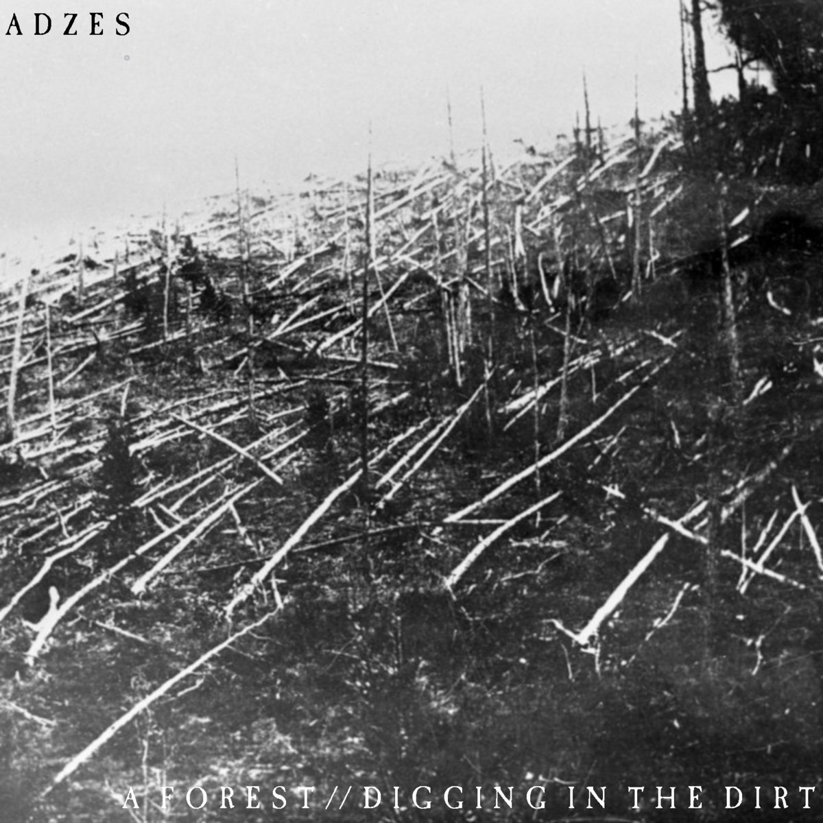 A Forest // Digging in the Dirt by Adzes (EP): Reviews, Ratings ...