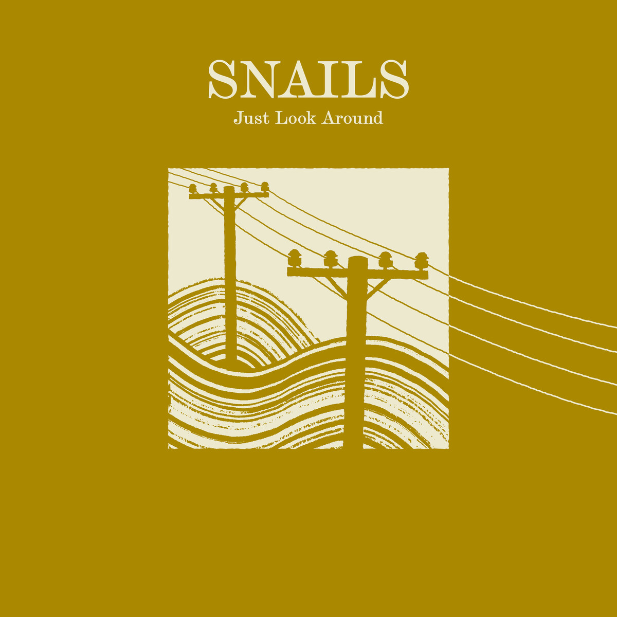 Just Look Around by Snails (Album): Reviews, Ratings, Credits, Song ...