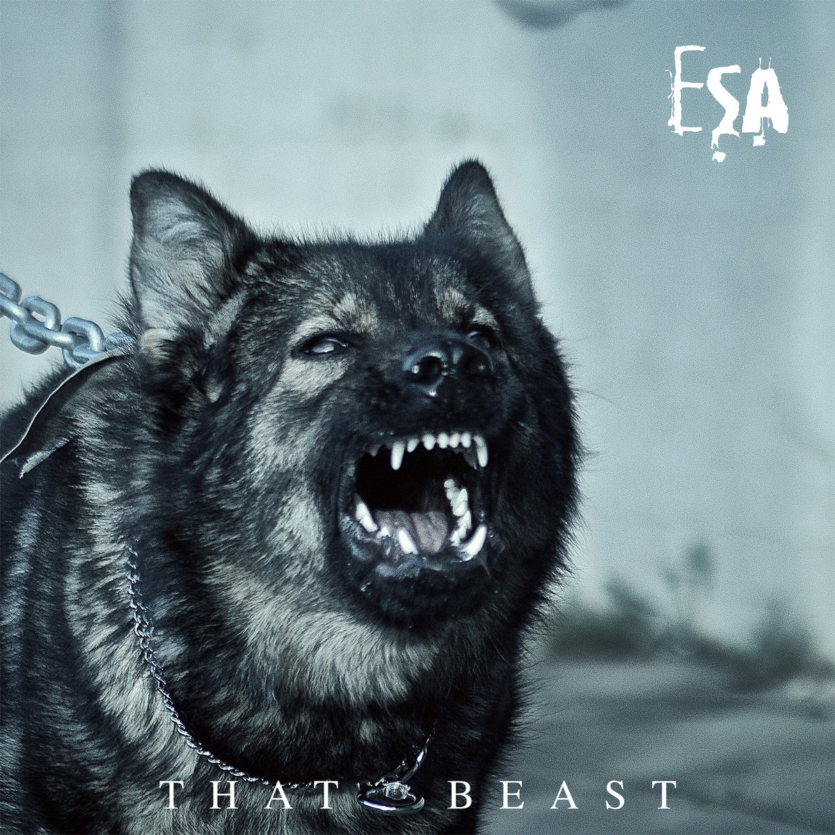 That Beast by ESA (Electronic Substance Abuse) (Album, Power Noise ...