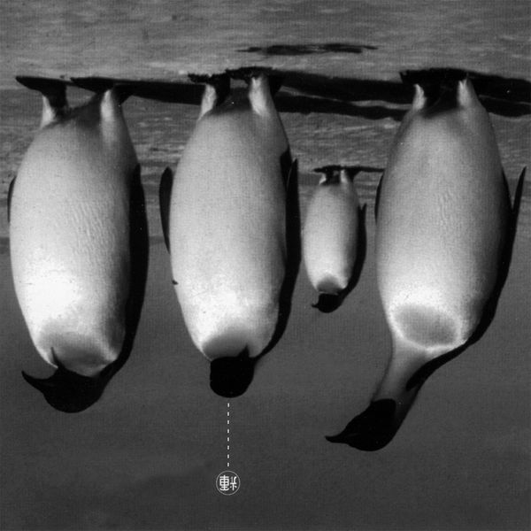 Woob 1194 by Woob (Album; Bigamoebasounds; BAS003): Reviews, Ratings ...