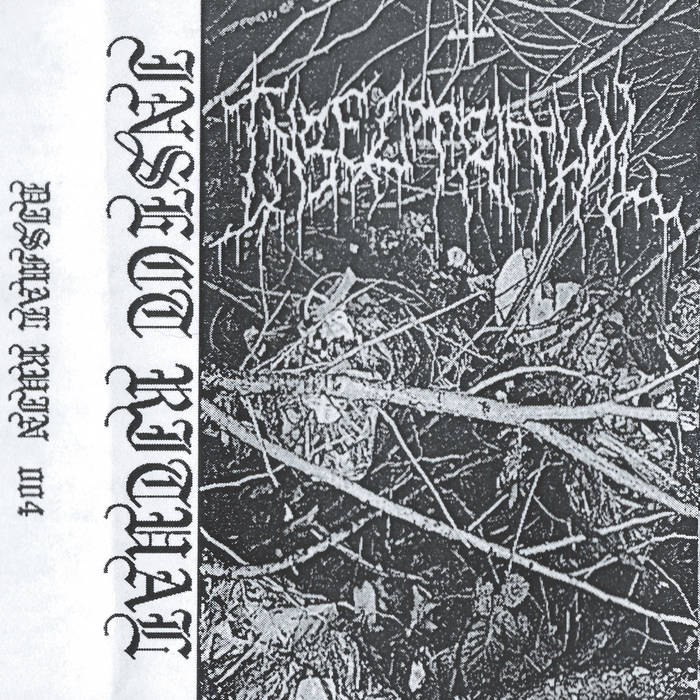 Insect Ritual Albums: songs, discography, biography, and listening ...