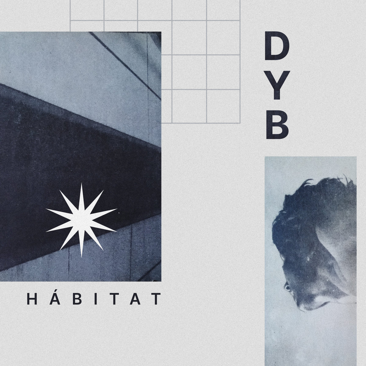 Hábitat by Dyb (Album; Templo Animal): Reviews, Ratings, Credits, Song ...