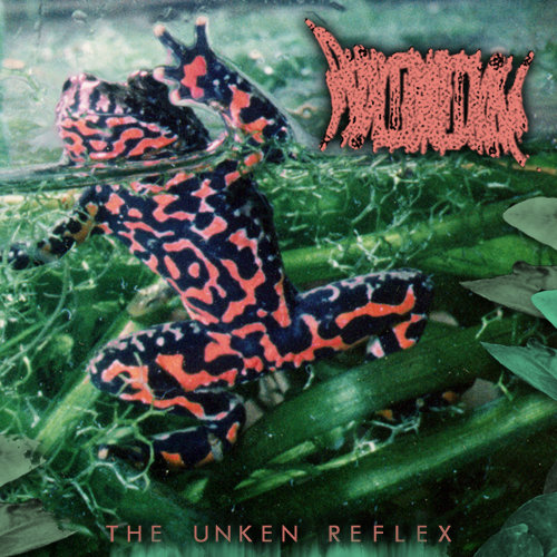The Unken Reflex by Phyllomedusa (Album, Noise): Reviews, Ratings ...