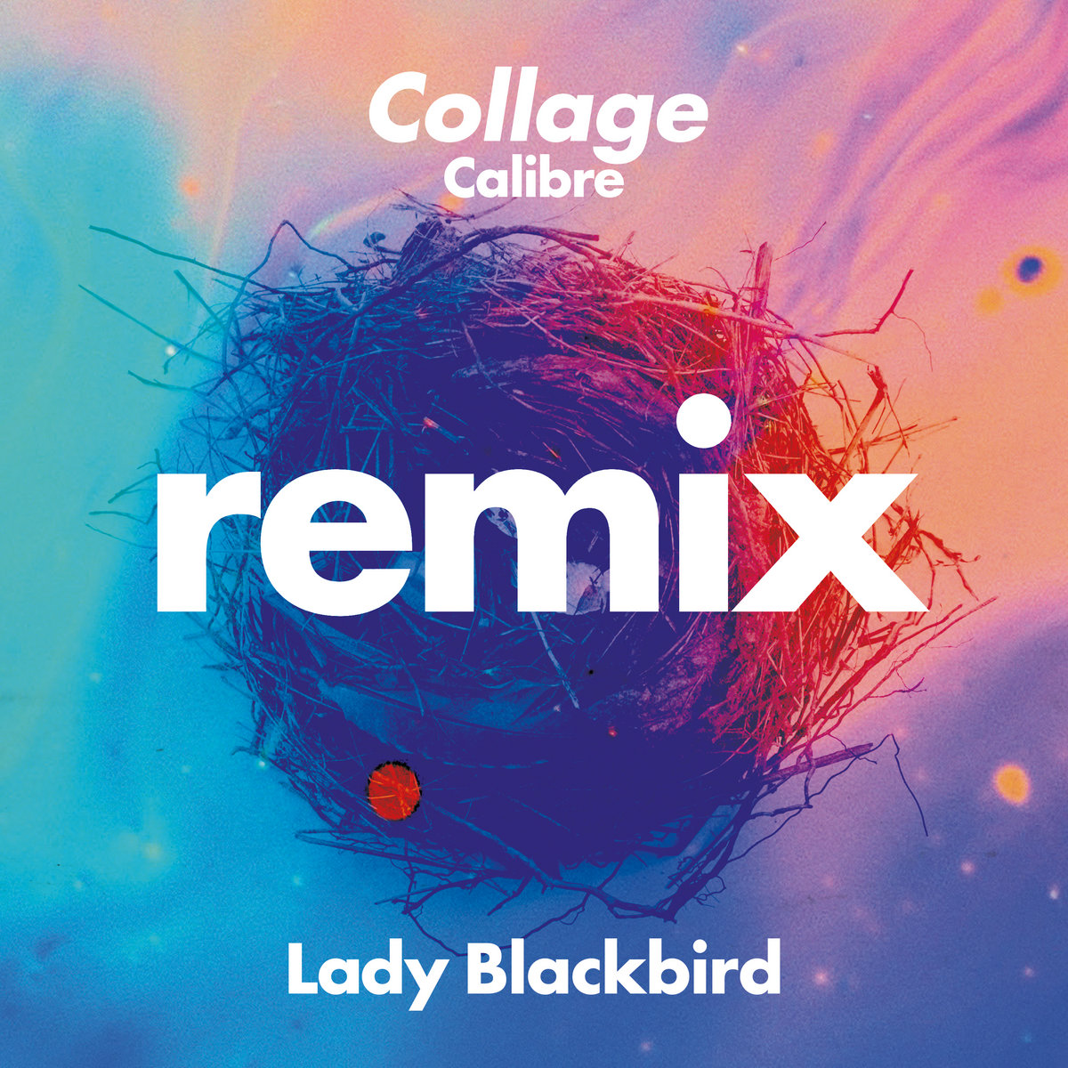 Collage (Calibre Remix) by Lady Blackbird (Single): Reviews, Ratings ...