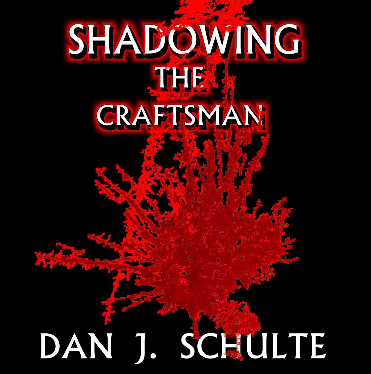 Shadowing the Craftsman by Dan J. Schulte (Album): Reviews, Ratings, Credits, Song list - Rate ...