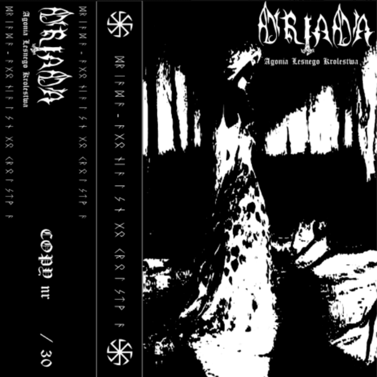 Agonia Leśnego Królestwa by Driada (Additional release): Reviews ...