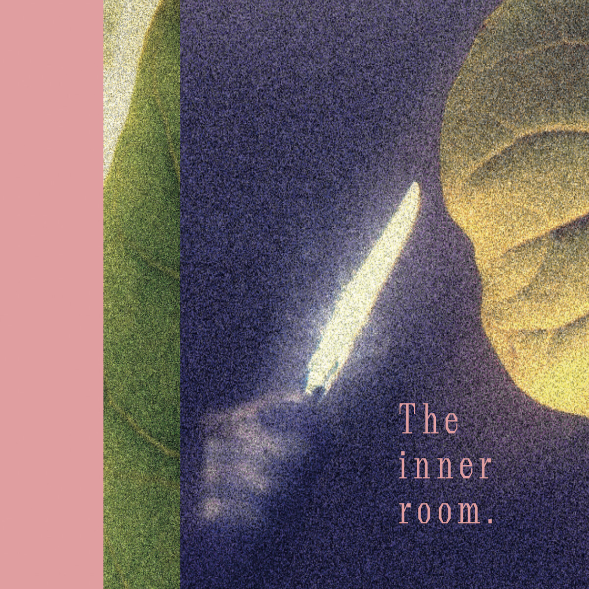 The Inner Room by Freddy Ruppert (Album): Reviews, Ratings, Credits ...