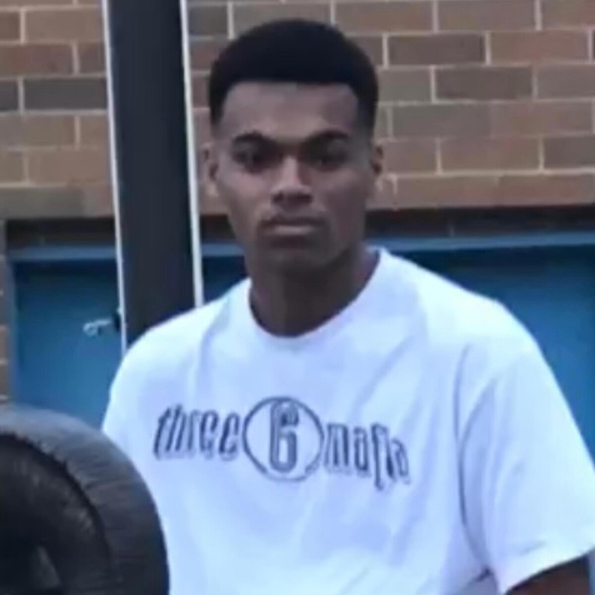 long leaves by Timothy Bright (Album): Reviews, Ratings, Credits, Song ...