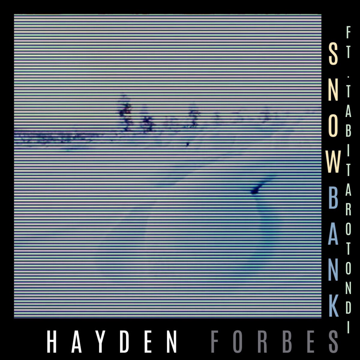 SnowBanks by Hayden Forbes (Single): Reviews, Ratings, Credits, Song ...