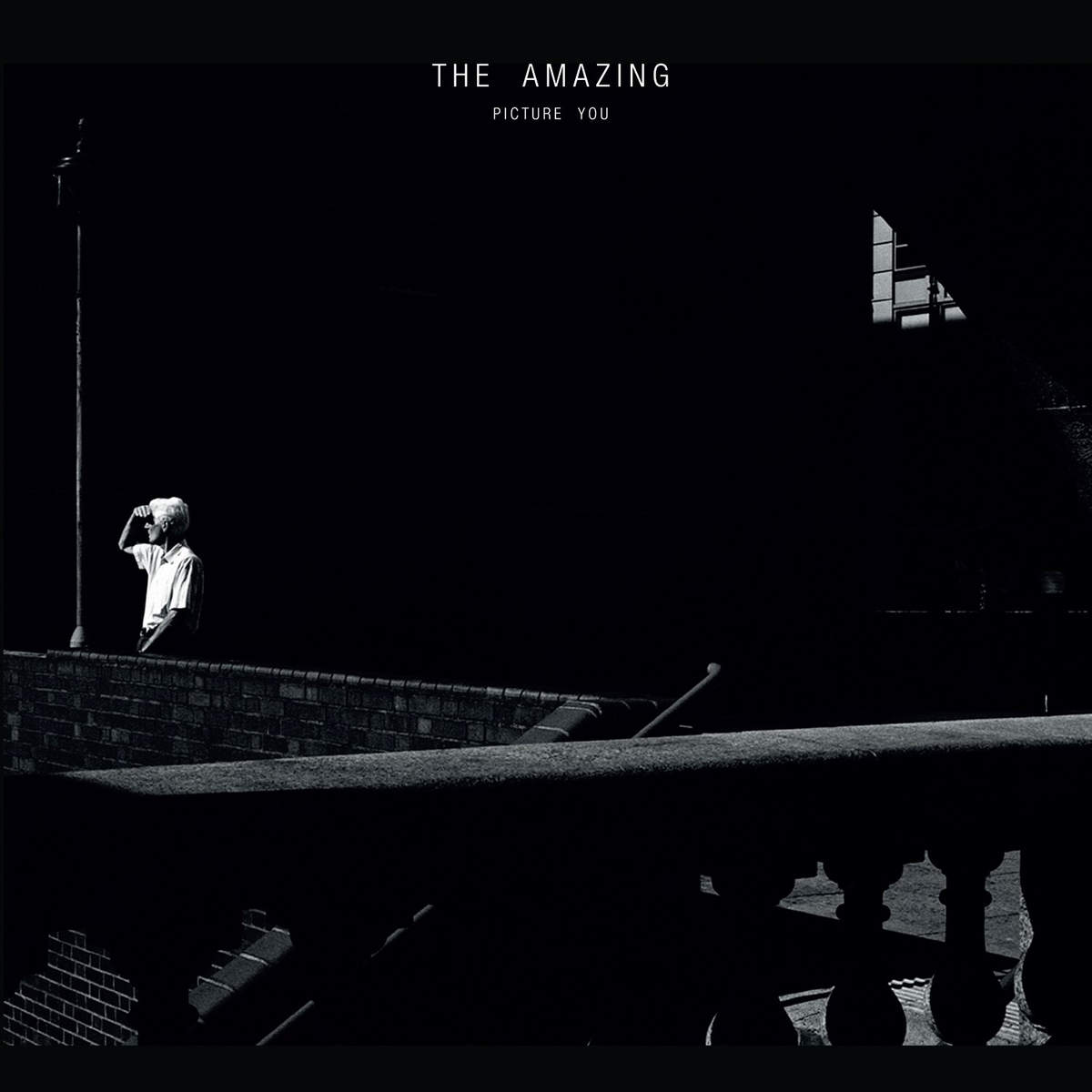 The Amazing Albums: songs, discography, biography, and listening guide ...
