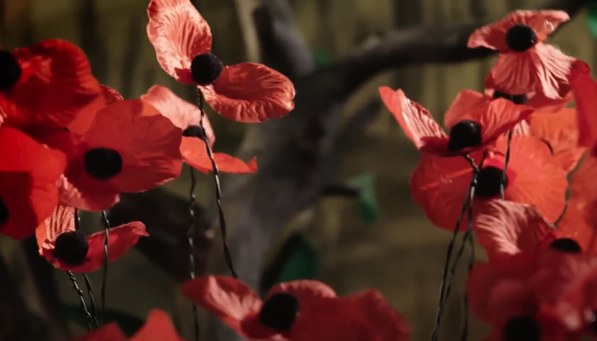 vkm-jGfx by Darius Čiuta (Album): Reviews, Ratings, Credits, Song list ...