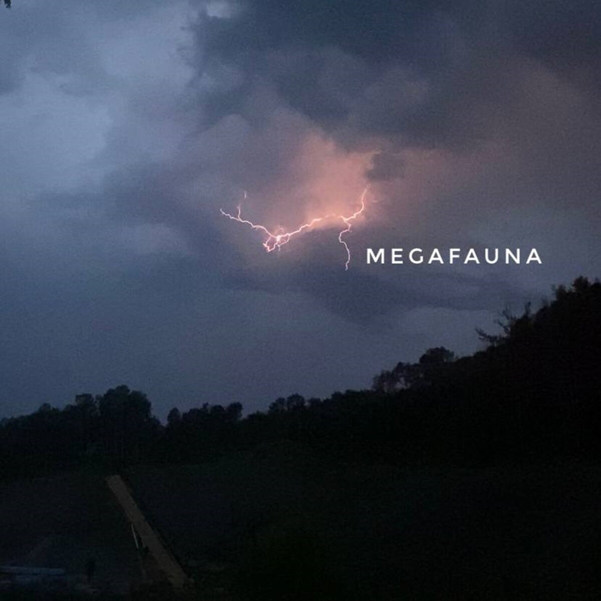 MEGAFAUNA Albums: songs, discography, biography, and listening guide ...