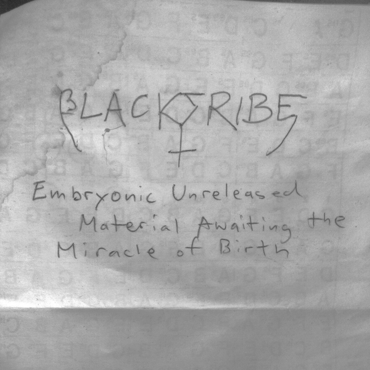 Embryonic Unreleased Material Awaiting the Miracle of Birth by Black ...