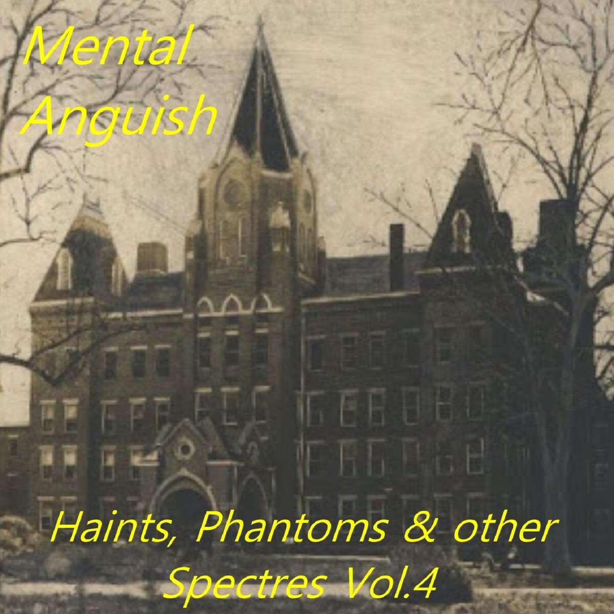 Haints, Phantoms & Other Spectres Vol.4 by Mental Anguish (Album ...