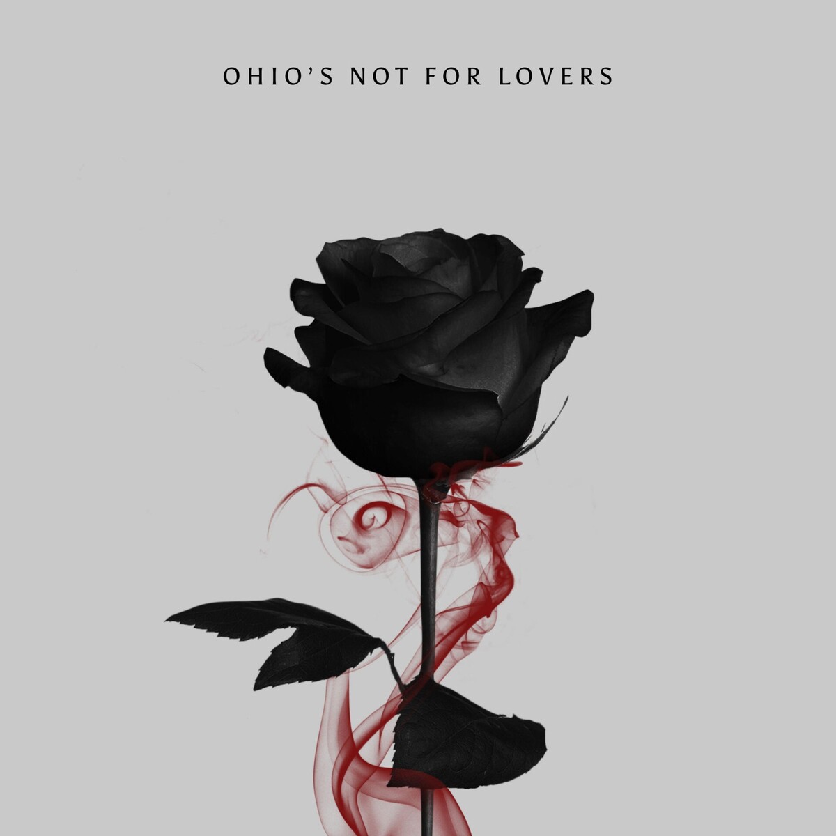 Ohio's Not for Lovers by Mvssie (Single): Reviews, Ratings, Credits ...