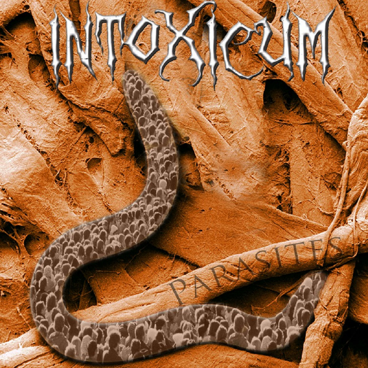 Parasites by Intoxicum (Album): Reviews, Ratings, Credits, Song list ...