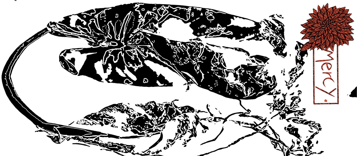 Mercy. by Mercy. (Album): Reviews, Ratings, Credits, Song list - Rate ...