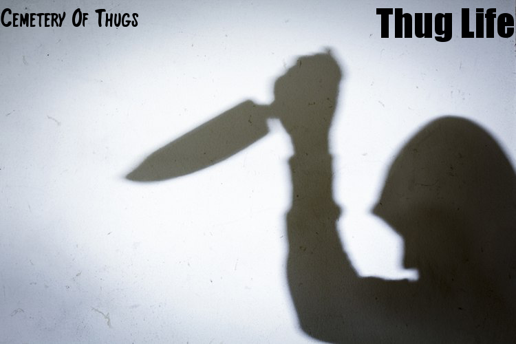 Thug Life by Cemetery of Thugs (Album): Reviews, Ratings, Credits, Song ...