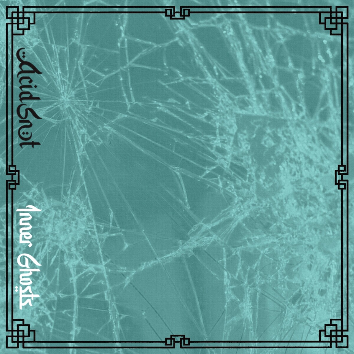 Inner Ghosts by Acid Snot (Single): Reviews, Ratings, Credits, Song list - Rate Your Music