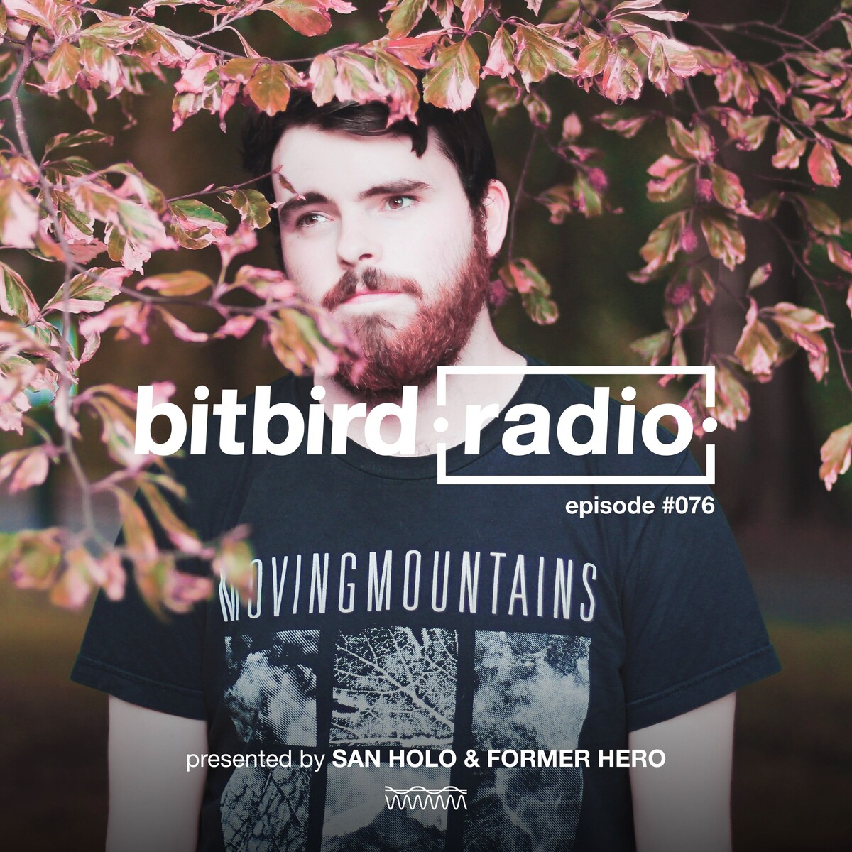 bitbird radio #076 by Former Hero (DJ Mix): Reviews, Ratings, Credits, Song list - Rate Your Music