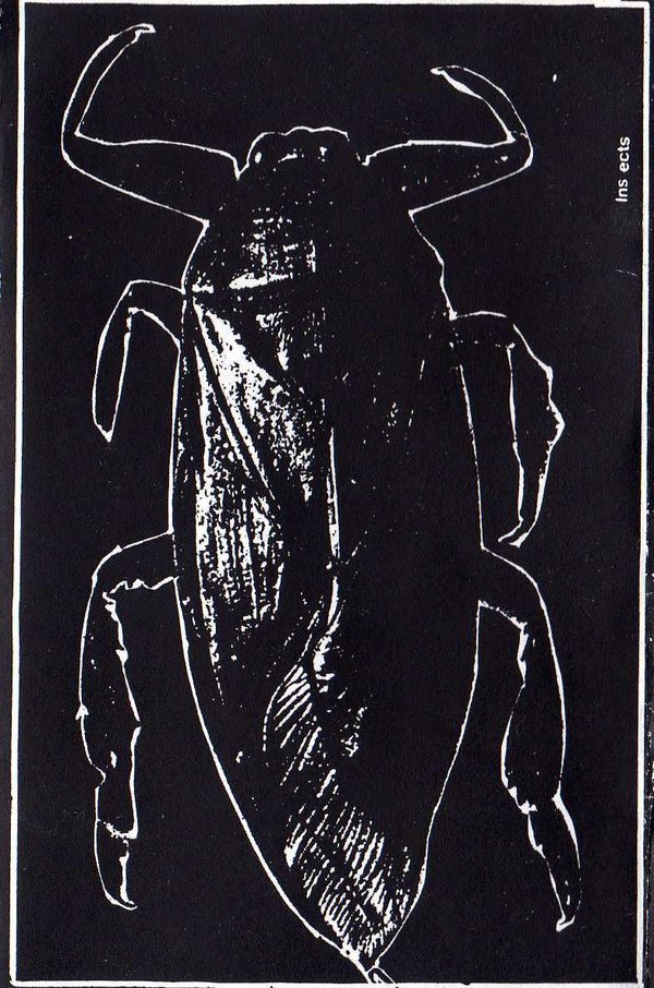 Insects by The Art Effects (Album, Minimal Synth): Reviews, Ratings ...