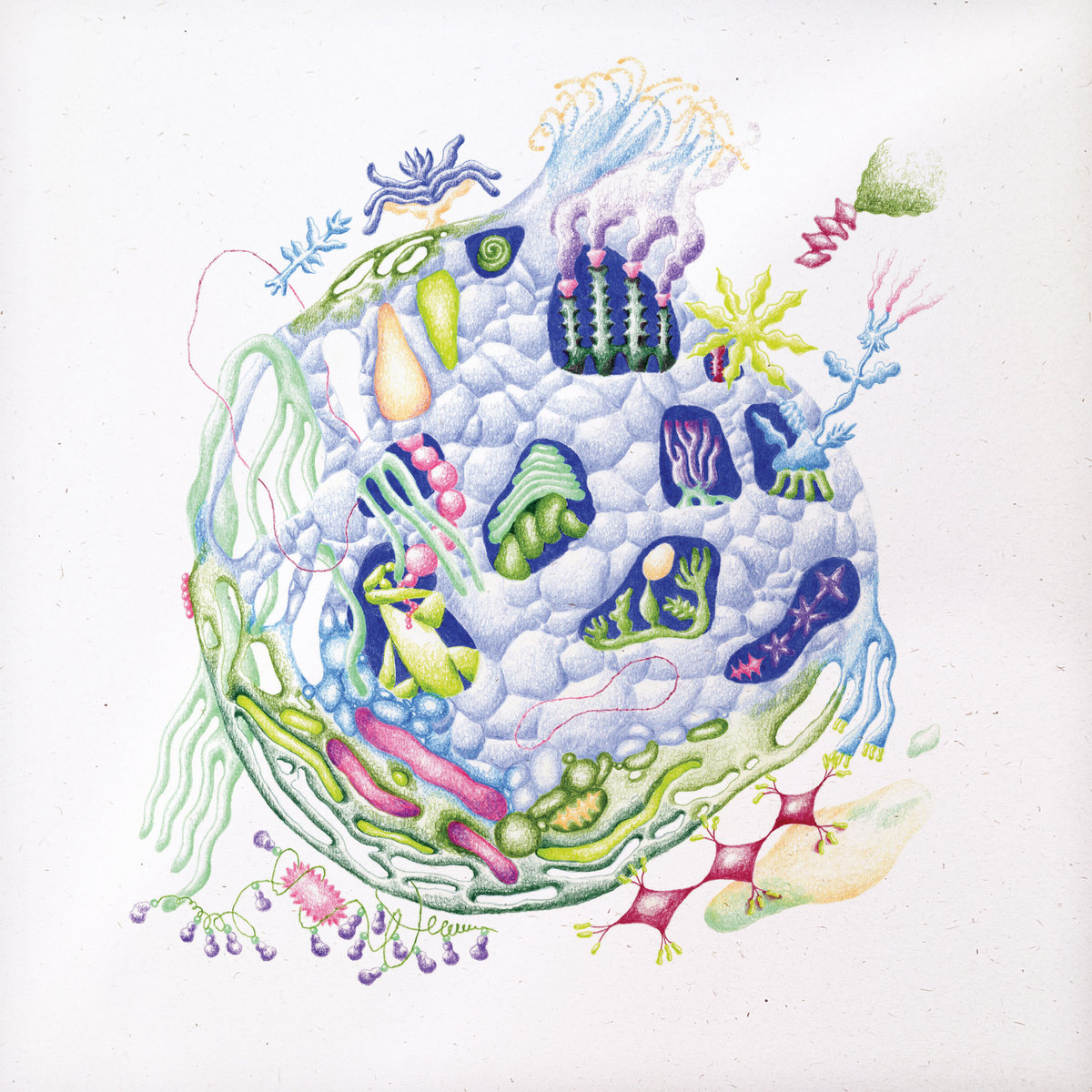 Binnenin by David Edren (Album): Reviews, Ratings, Credits, Song list ...