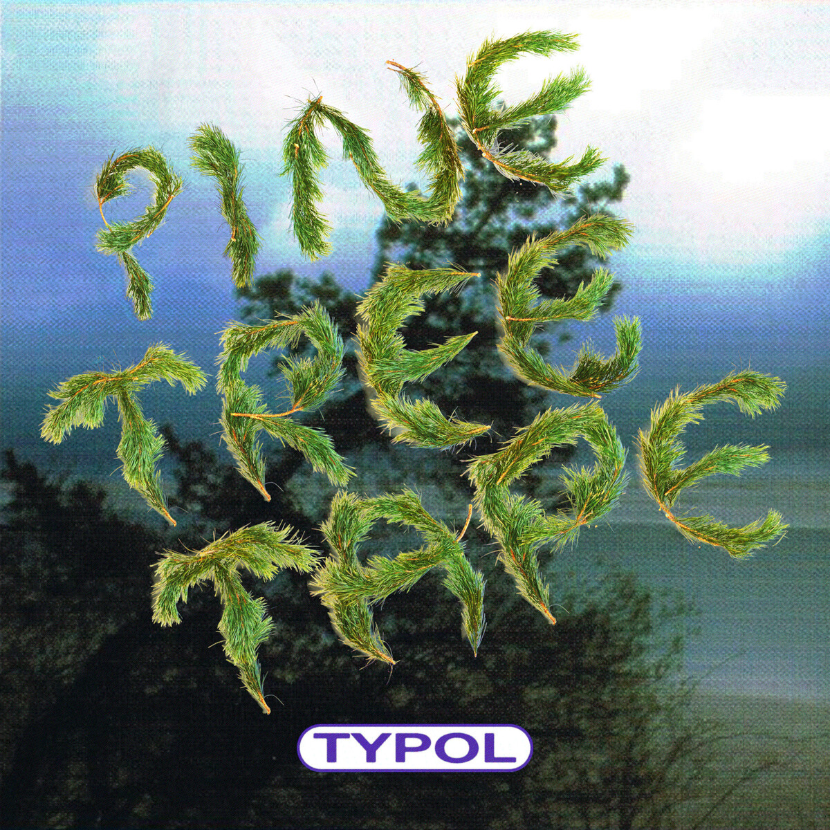 Pine Tree Tape by Typol (Album, Instrumental Hip Hop): Reviews, Ratings ...