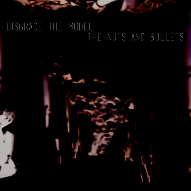 The Nuts and Bullets by Disgrace the Model (Single): Reviews, Ratings ...
